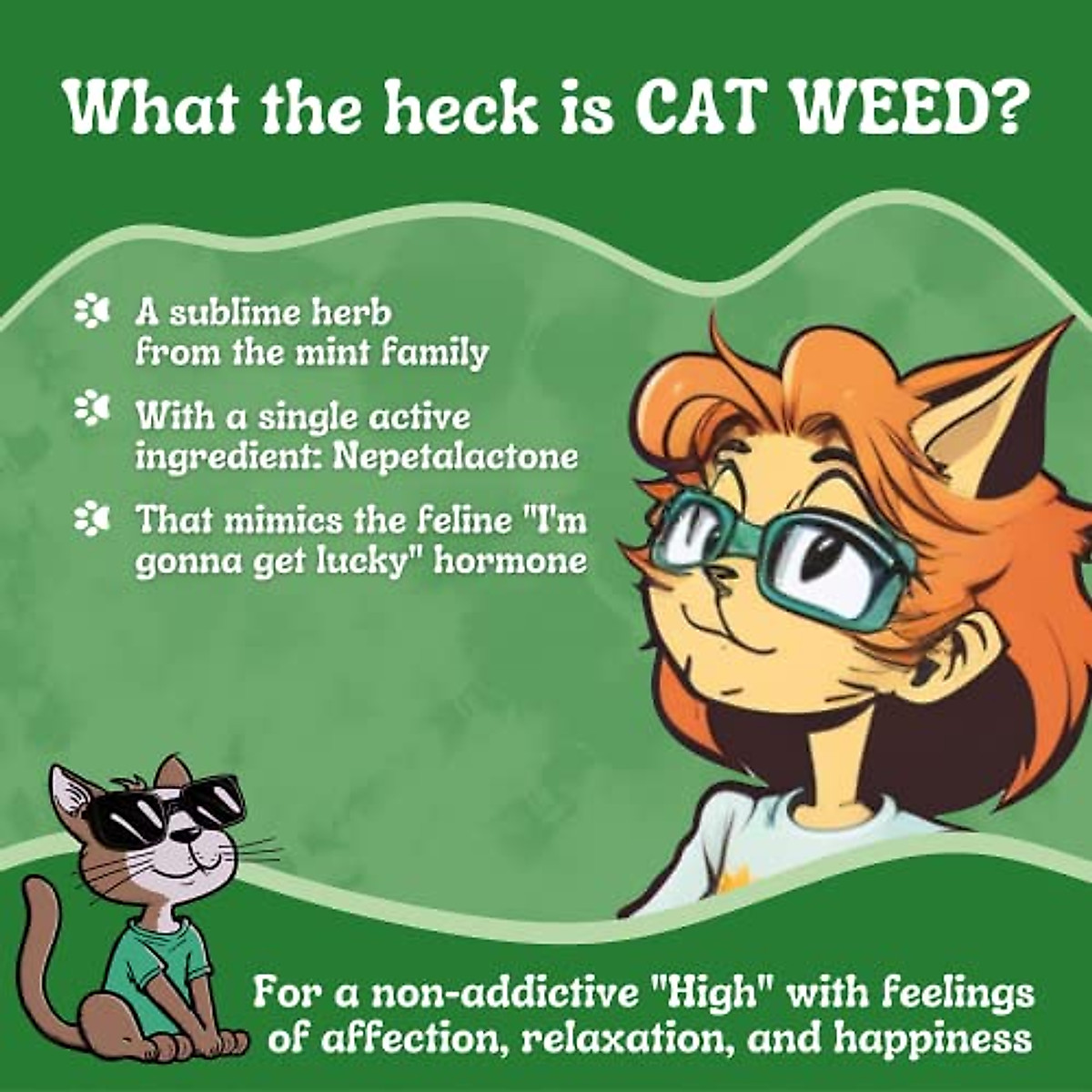Cat Weed Premium Catnip - All Natural - Maximum Potency Cat Nip - Sprinkle On Your Kittens Favorite Toy Scratch Pad Or Other Refillable Cat Toys - Your Kitty Will Love You