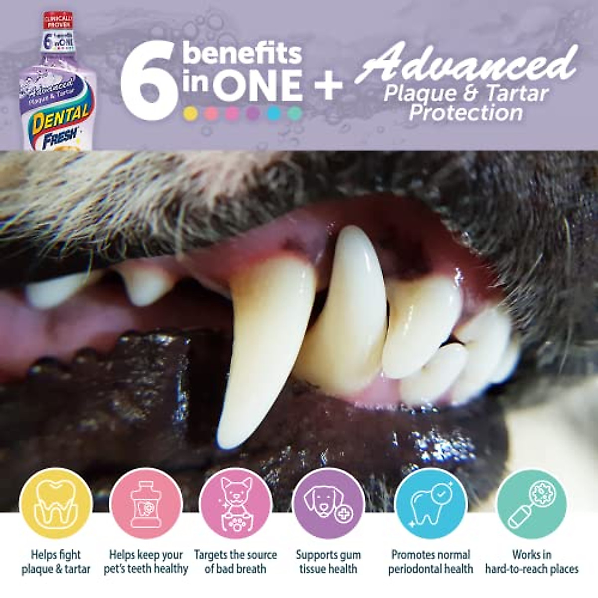 Dental Fresh Advanced Plaque and Tartar Water Additive, 17oz – Dog Teeth Cleaning Formula to Freshen Breath and Improve Overall Oral Health