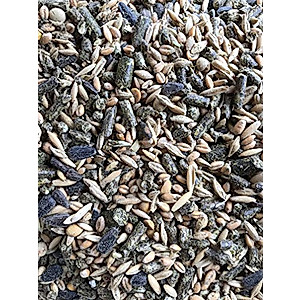 Homestead Harvest Non-GMO Wholesome Rabbit Food (25 lb)