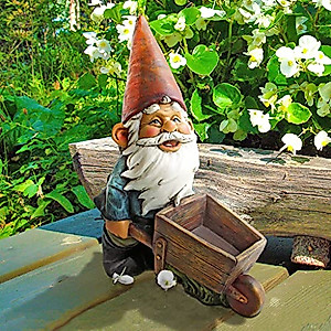 Design Toscano QM2433000 Wheelbarrow Willie Garden Gnome Statue Bird Feeder, 12 inch, Multicolored