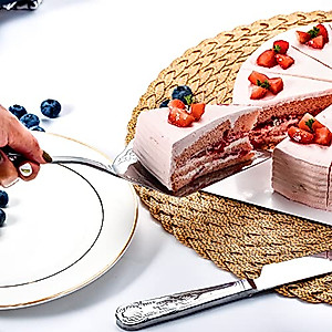 IMEEA Wedding Cake Knife and Server Set SUS304 Stainless Steel Vintage Cake Serving Set Cake Cutting Utensils for Wedding Party