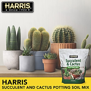 Harris Premium Succulent and Cactus Potting Soil Mix, Fast Draining with Added Nutrients, 4 Quarts