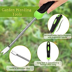 Hand Weeder Tool Garden Weeding Tool Gardening Weeder Tool with Ergonomic Handle, Stainless Steel Garden Lawn Farmland Transplant Gardening Plant Tool（2 Pronged Fork, 2 Pieces）