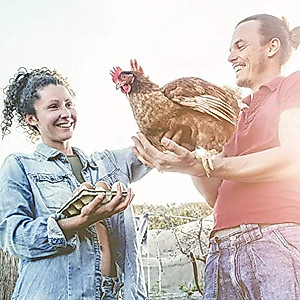 BestPet 87" x 41"Large Metal Chicken Coop Run Enclosure Pen with Waterproof Cover Outdoor Backyard Farm Cage Crate Pet Playpen Exercise Pen for Rabbit Duck Hen