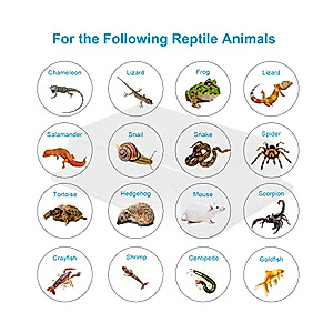 TONGYONG Reptile Leather Case, Snake Hide，Reptile Container, Hide，Snake Cage Box, Hide Box，Snake Keeping Skin Lizard, Box，Container is Durable and Easy Clean -Black (YSH--20220420)