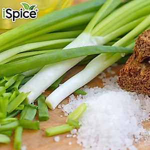 iSpice ONION SALT & SEASONING | A fast cooking fix for any recipe | 12oz (340g)