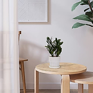 Matekxy Plastic Plant Pots Set of 3 Packs 5.5inch Planters with Drainage Hole and Saucer Tray Flower Pot with Multiple Drainage Holes and Trays for Home Garden, 3 Color - White, Pink and Mint Green