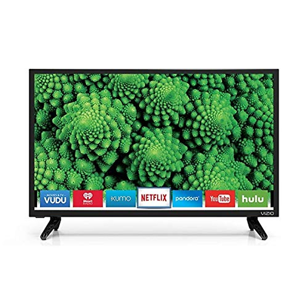 Vizio 24IN D-Series LED Smart TV 23.54IN DIAG D24H-E1
