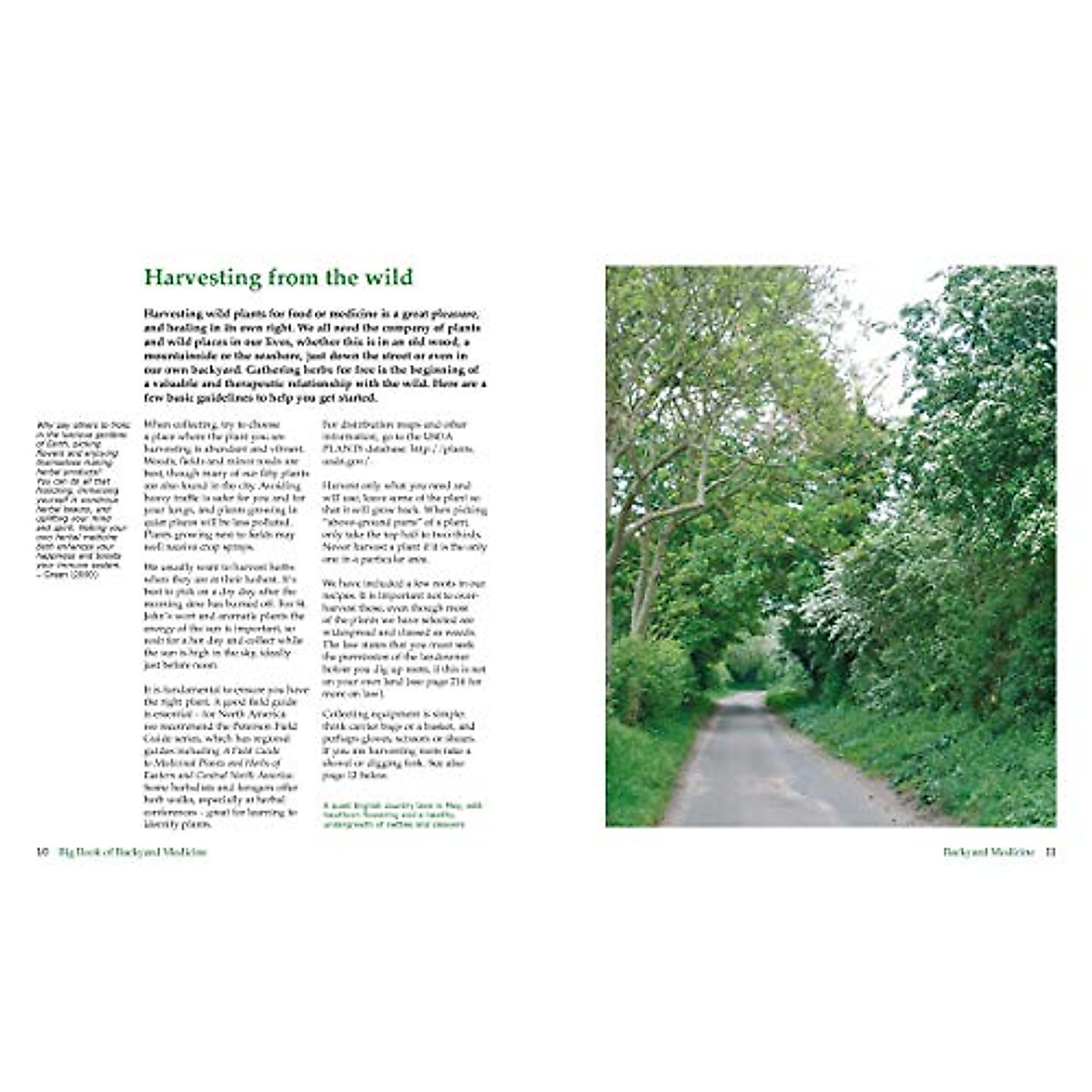 The Big Book of Backyard Medicine: The Ultimate Guide to Home-Grown Herbal Remedies