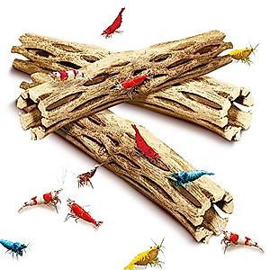 SunGrow Cholla Wood, 5” Climbing Logs, Chew Toy, Aquarium Fish, Snail & Shrimp Driftwood, Décor Adds Raw Beauty, 3 Pack