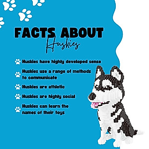 BLOCK CENTER Dachshund Dog 2024 Edition 3D Puzzle 2100 Pieces Building Blocks Set - Mini Block Gift Kit for Kids and Adults (Husky)