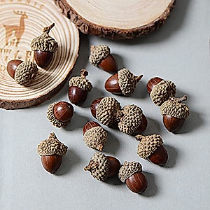 DYNWAVE 200Pcs Natural Acorns Caps Decorative for Craft Vase Fillers Home Garland Autumn Embellishments Ornaments