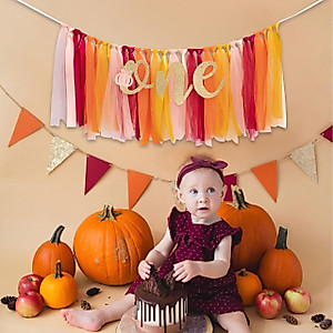 MUWEOL Little Pumpkin 1st Birthday High Chair Banner - First Birthday Highchair Ballet Banner, Halloween Birthday Party Decorations，Baby Shower Decor (Pumpkin banner orange and pink)