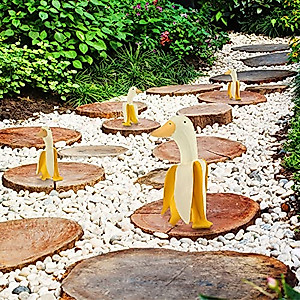 4 Pcs Banana Duck Statue Creative Resin Banana Duck Sculpture Funny Whimsical Banana Duck Yard Art for Outdoor Home Garden Lawn Patio Office Porch Cute Duck Decor Housewarming Gifts