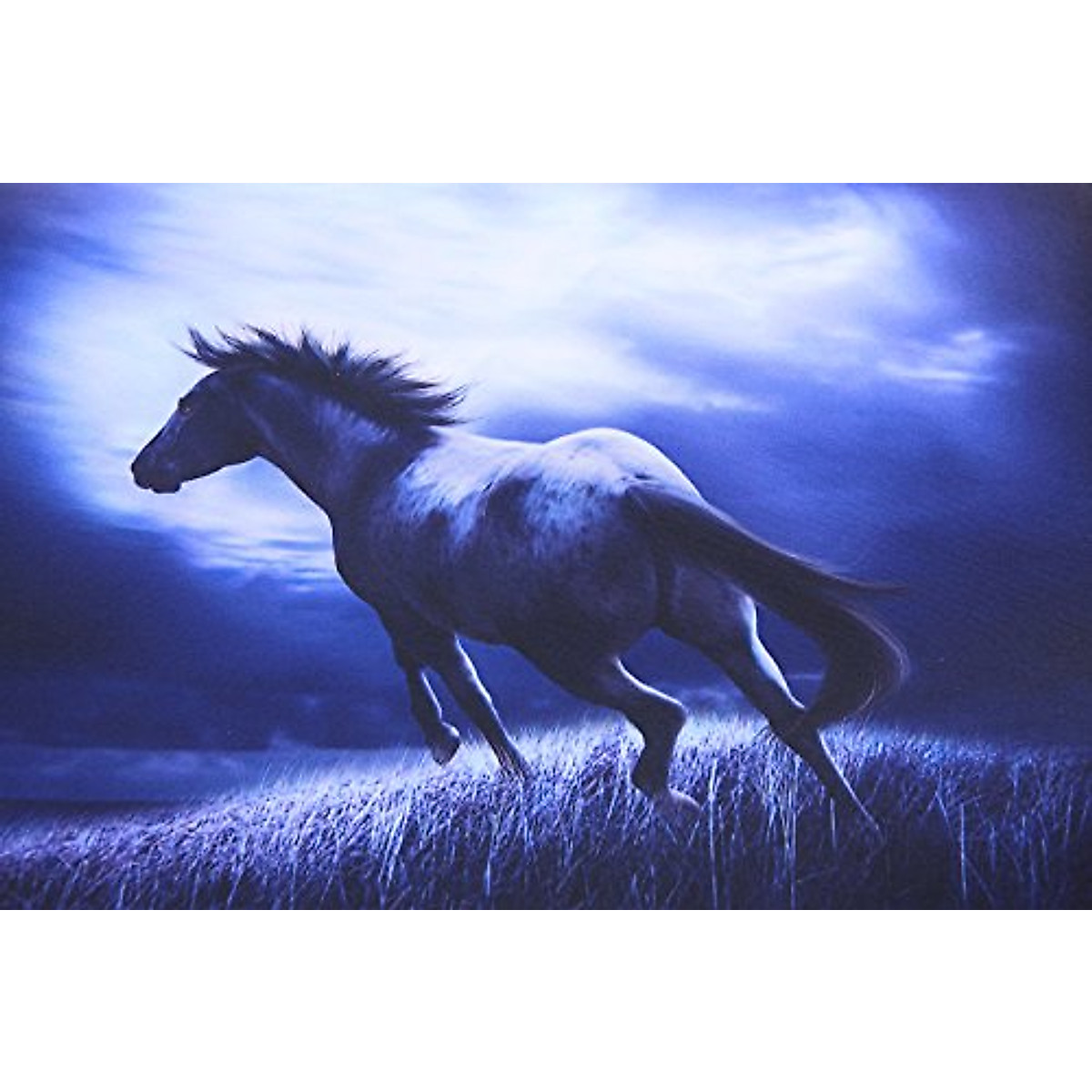 13.3-Inch to 14-Inch Laptop Sleeve Case Neoprene Carrying Bag with Hidden Handles for MacBook/Notebook/Ultrabook/Chromebooks (Blue Horse)