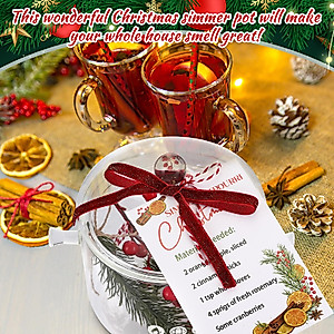 Baderke Christmas Simmer Pot Gift 50 oz Glass Cooking Festive Saucepan Pots with Christmas Card Artificial Red Berries Pine Needles Handmade Cotton Rope Red Ribbon Stirring Spoon for DIY Xmas Gift