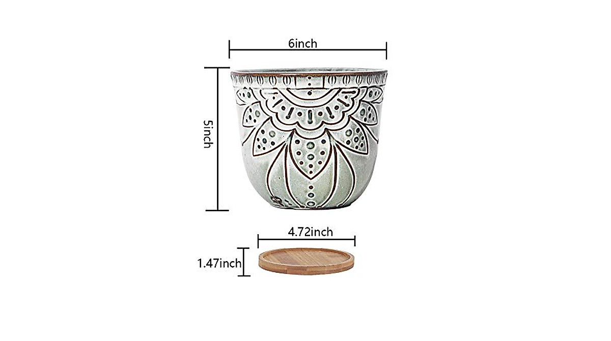 Elegant 6-Inch Ceramic Succulent Planters with Drainage - Set of 2