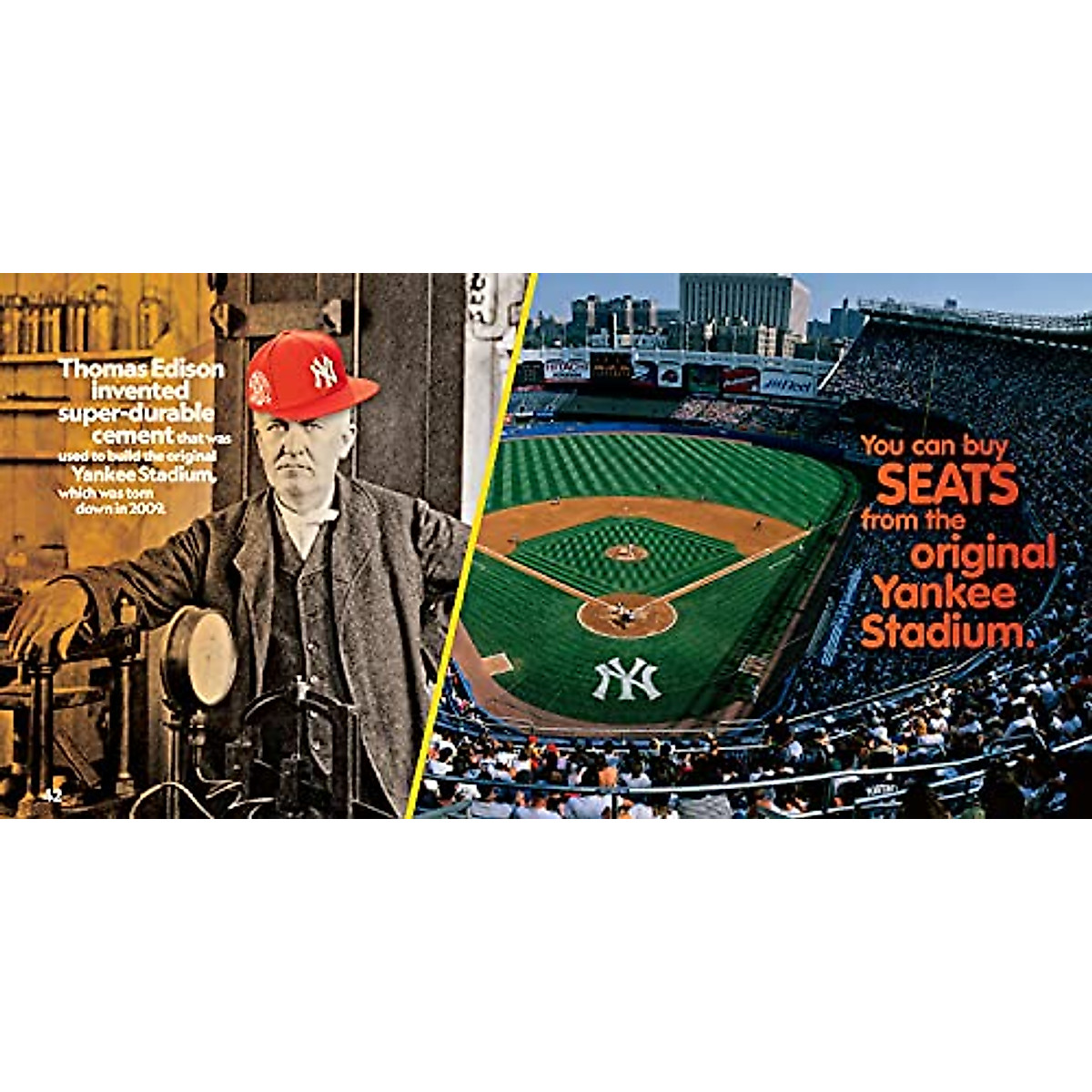 Weird But True! New York City