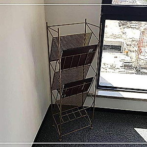 Li Wei Shop Magazine Rack/Newspaper Rack Metal Floor Magazine Storage Rack Magazine Publicity Newspaper and Magazine Display Rack Home Storage Bookshelf Living Room Book Sorting Basket