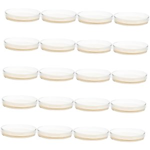 FELTECHELECTR 20 Pcs Petri Dish Agar Prepoured Nutrient Plates for Science Lab Experiment Accessories
