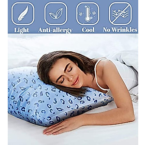 Satin Silk Pillowcase for Hair & Skin, Cooling Pillow case Wrinkle Free, Leopard Silky Satin Pillow Case Cover Queen Size Set of 2, Vegan Silk Satin Pillowcase with Envelope Closure 20x30 inches