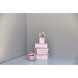 WENKO Storage Basket Adria with lid in Pink, PP, 19 x 14 x 10 cm