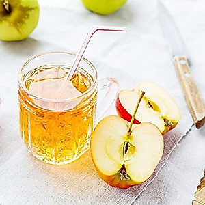 QAUZUY GARDEN 10 Dwarf Apple Seeds (Malus domestica) - Miniature Gala Apple Tree - Organic Apple Fruit Tree Seeds - Fruits Survival Gear Food Seeds