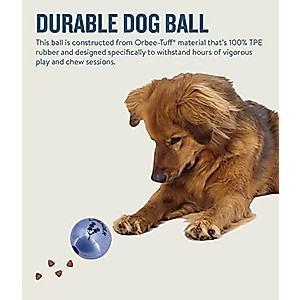 Planet Dog Orbee-Tuff Essentials Lavender Scented Interactive Dog Ball Treat Dispenser Toy, Purple