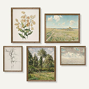 Vintage Botanical Room Decor - Sage Green Neutral Wall Art for Rustic Farmhouse Kitchen, Bathroom, Bedroom Poster Print Wall Decor - Preppy Room Decor Aesthetic Vintage, Nature, Tree Sketch Set of 5