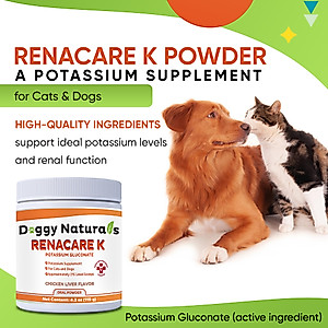 RenaCare K is for Renal K (Potassium Gluconate) Potassium Supplement Powder for Dogs and Cats, (4 oz) with Chicken Liver Flavor - 215 Level Scoop (Made is U.S.A)