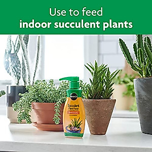 Miracle-Gro Succulent Plant Food, 8 Oz., For Succulents including Cacti, Jade, And Aloe, 1 Pack