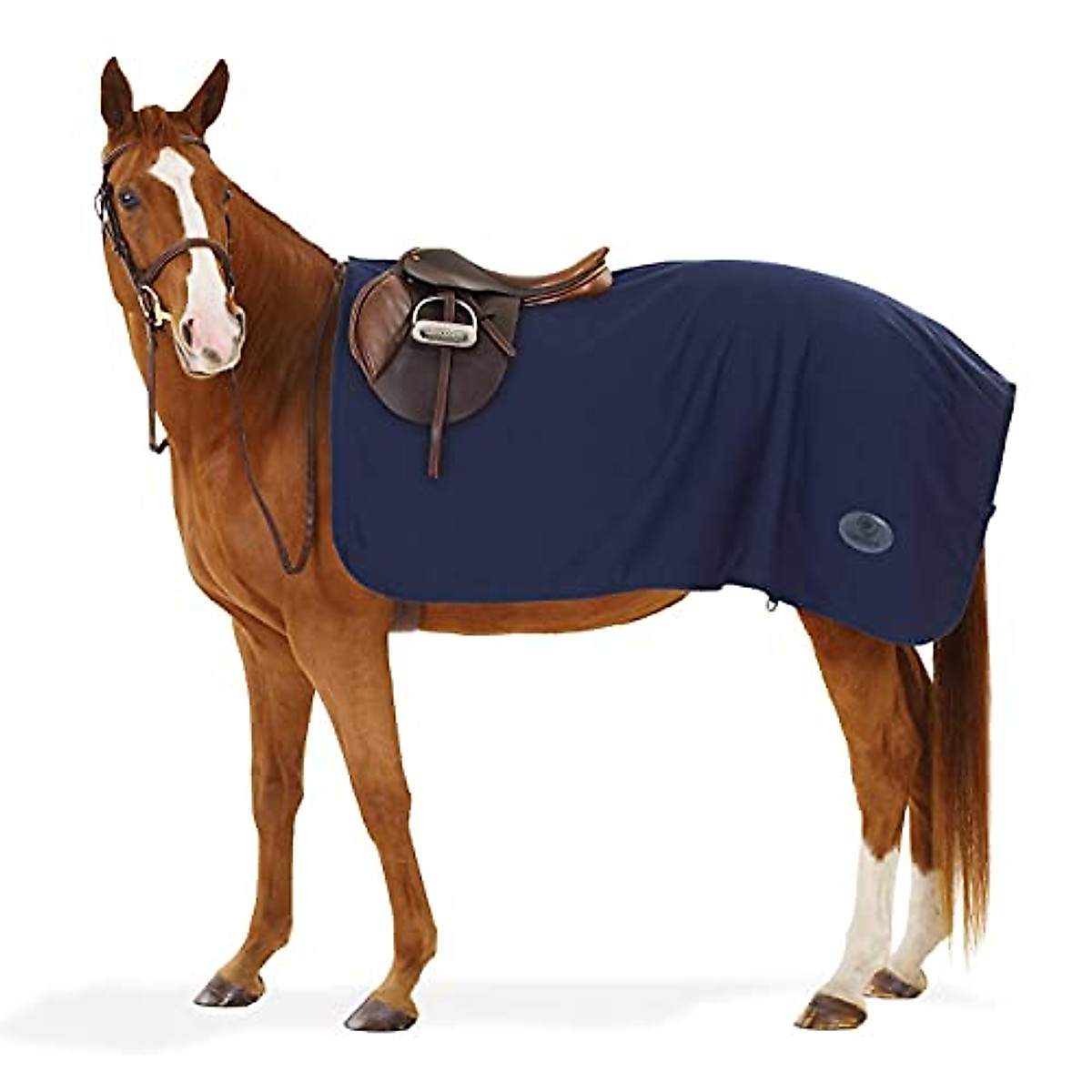 CENTAUR Turbo Dry Exercise Sheet Horse