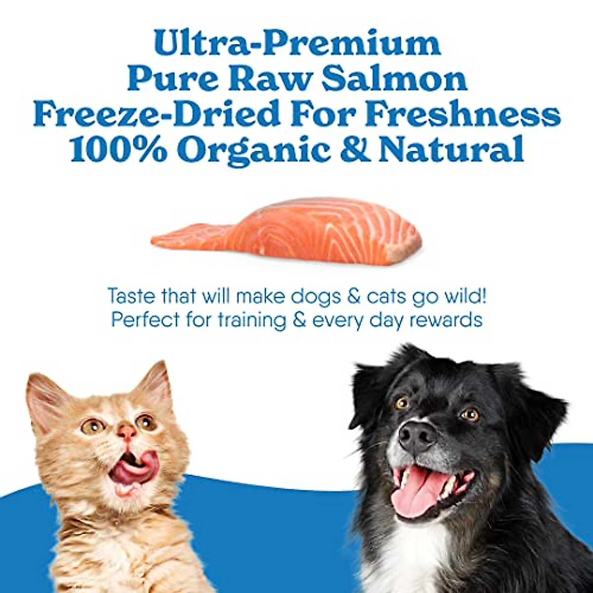 Fat-Cat Fish - Organic Crunchy Treats for Pets - Freeze-Dried 100% Raw Wild Salmon Dog and Cat Treats - Natural Healthy Low Calorie Snacks w/Protein Omega 3&6 - Made in USA - Pack of 3 (1.25 oz x 3)