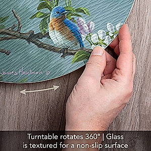 CounterArt Beautiful Songbirds 4mm Heat Tolerant Tempered Glass Lazy Susan Turntable 13" Diameter Cake Plate Condiment Caddy Pizza Server