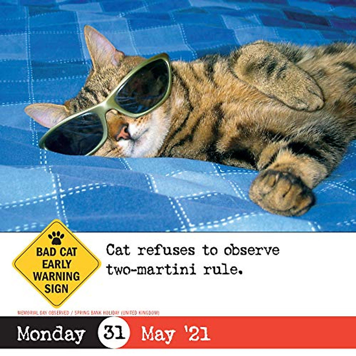 Bad Cat Page-A-Day Calendar 2021