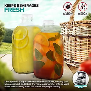 Stock Your Home Half Gallon Glass Milk Bottle with Lid (3 Pack) 64 Oz Jugs and 6 White Caps, Reusable Food Grade Milk Container for Refrigerator, Bottles for Juice, Oat or Plant Milks, Water, Honey