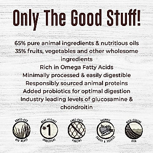 Stella & Chewy's Raw Coated Beef Recipe Dog Food 10lb