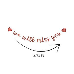 Rose Gold Glitter We Will Miss You Bunting Banner Party Decorations for Going Away Party, Farewell Party, Retirement Party Supplies