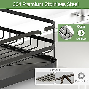 ROTTOGOON Dish Drying Rack, Stainless Steel Rustproof Dish Rack for Kitchen Counter, Sturdy Dish Drainer with Drainboard, Drainage, Utensil Holder for Various Kitchenware, 16.9"(L) x 12.2"(W), Black