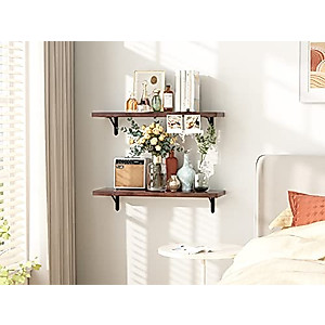 SUPERJARE 23.6 x 7.9in Floating Shelves, Set of 2, Wall Mounted Shelves for Storage, Hanging Book Shelves with Brackets for Bedroom/Living Room/Kitchen/Office/Bathroom - Cherry Walnut
