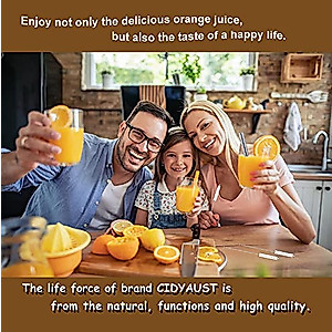 Straw Cleaner Brush Extend 8 inch, Extra Wide 10mm diam Straw Brush, Pipe Cleaners for Water Bottle, Sippy Cup, Baby Bottles, Drinking Straw Cleaning Brush Set 10 Pack