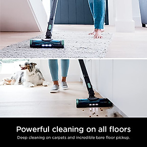 Shark IZ631H Cordless Pro Vacuum with PowerFins and Self-Cleaning Brushroll, Includes Upholstery Tool & Crevice Tool, Up To 60 Minute Runtime, HEPA Filtration, Cordless Vacuum, Dark Grey/Mojito