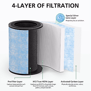 F300 Filter Compatible with Instant AP300 Air Purifi-er, 4-Stage Filtration with H13 Grade True HEPA Filter and Activated Carbon Filter, Compare to F300 Filter, 2 Pack