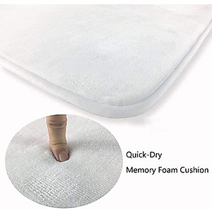 Rustic Farmhouse Bath Rug, Farm Teal Daisy Floral Flowers and Butterfly on Country Wooden Bath Mat Turquoise Blue Kitchen Rug Floor Mat Soft Non Slip Runner Carpet Indoor Doormat (17X29)