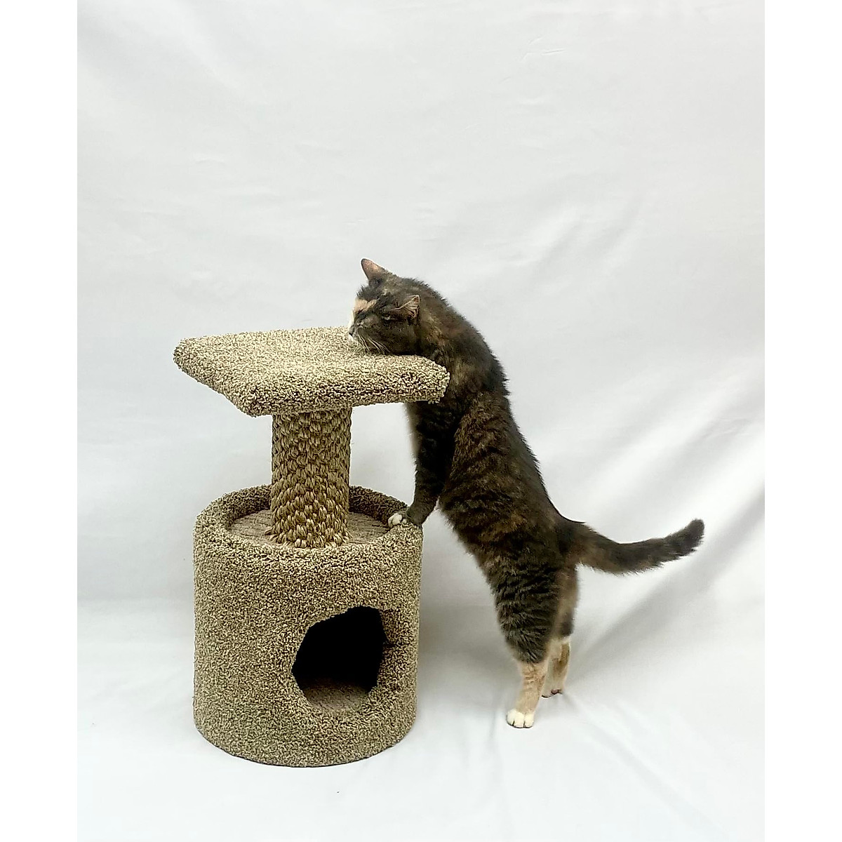GIA Furniture Series 2-in-1 Cat Scratching Post with Perch & Hideaway - Carpeted Cat Tower with Sisal Rope for Scratching, Climbing, and Lounging - Ideal for Small & Medium Cats