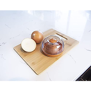 MSC International Fresh Flip Onion Pod, Standard, Brown