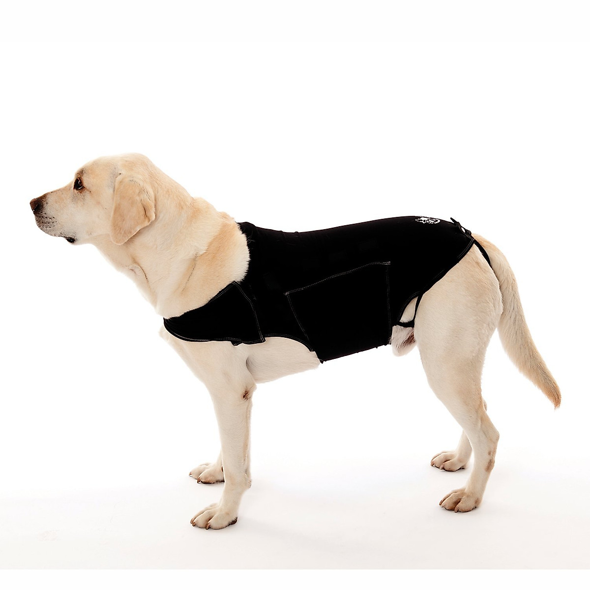 Company of Animals Anxiety Wrap, Black, Toy Sized