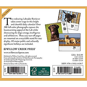Just Labs 2021 Box Calendar (Dog Breed Calendar)