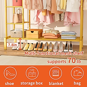 JOISCOPE 47'' * 65'' Heavy Duty Clothes Rack, Double Rods Clothing Racks for Hanging Clothes, Garment Rack with 4 Tier Closet Shelves & 4 Hooks for Clothing Storage, Metal Gold Clothing Rack