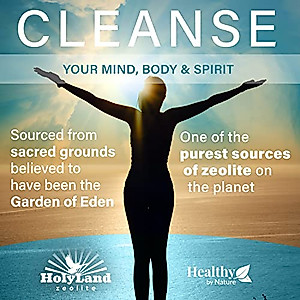 HolyLand Zeolite Cleanse | Zeolite Detox Powder (400 Gram Value Size) | Natural, Activated Clinoptilolite - Supports Energy, Mental Focus, pH Balance, Immune Defense, & Optimal Gut Health